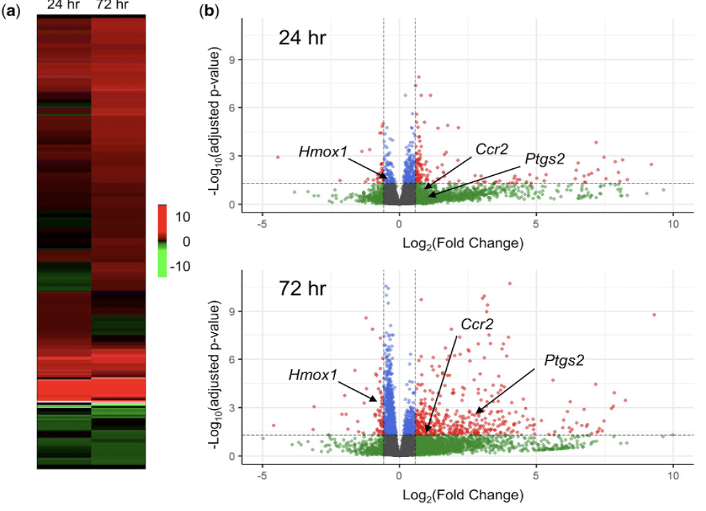 Transcriptional Profiling of Lung Macrophages Following Ozone Exposure ... Transcriptional Profiling of Lung Macrophages Following Ozone Exposure ...